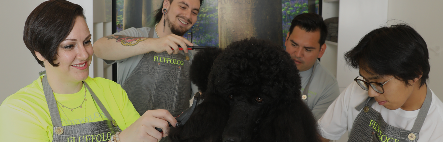 Our Fluffologists – Fluffology