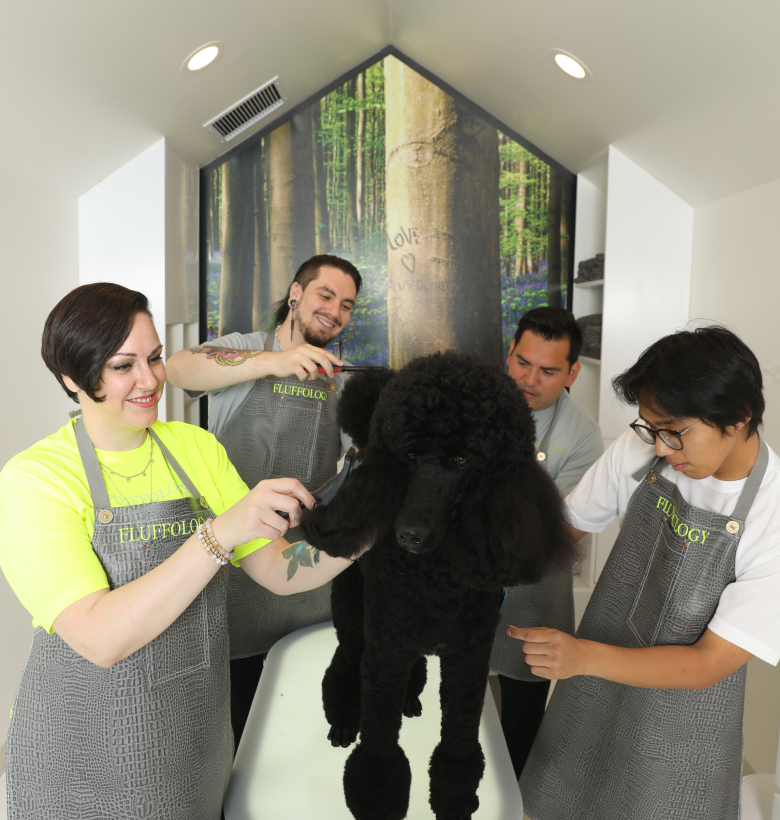 Our Fluffologists – Fluffology