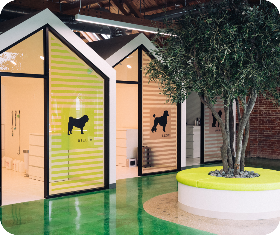 Fluffology Flagship Stores: Find Your Nearest Pet Grooming Location