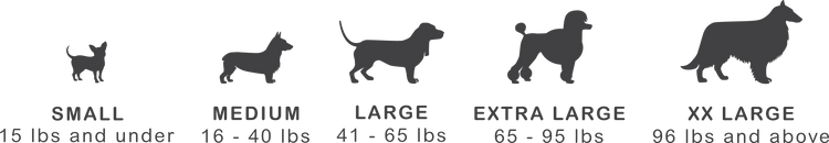 Pet Grooming Service North Hollywood, CA - Fluffology